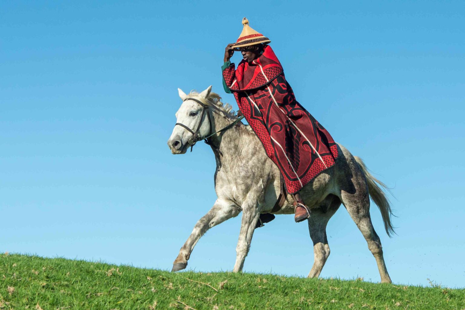 Breed History – The Nooitgedachter Breeders' Society